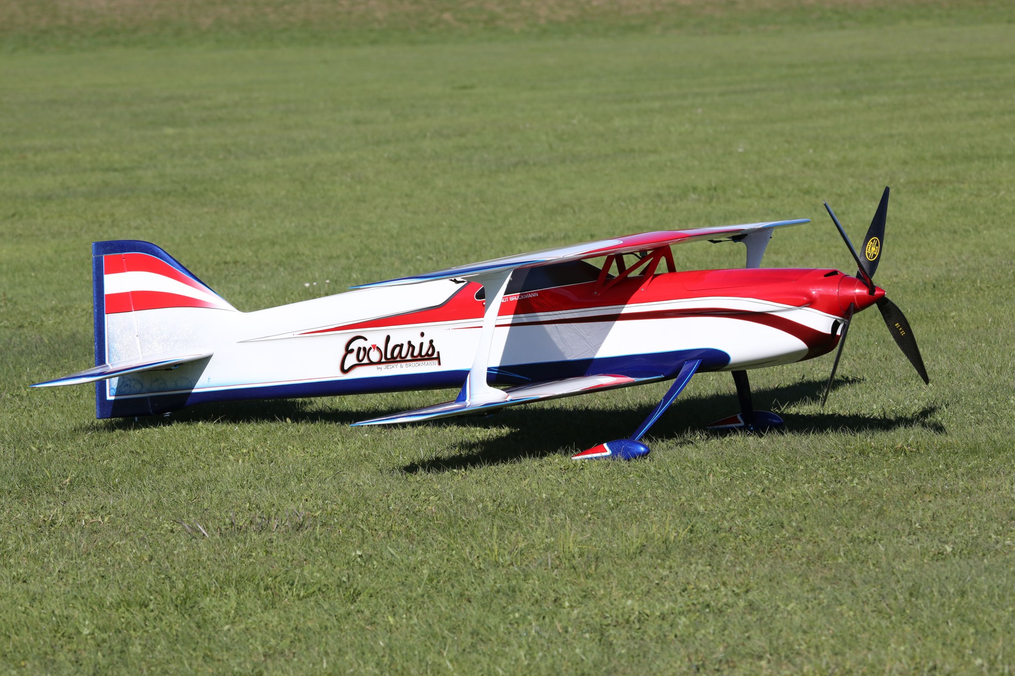 Das F3A - Modell der Extraklasse - Die SENSATION 2015 von Gernot ...