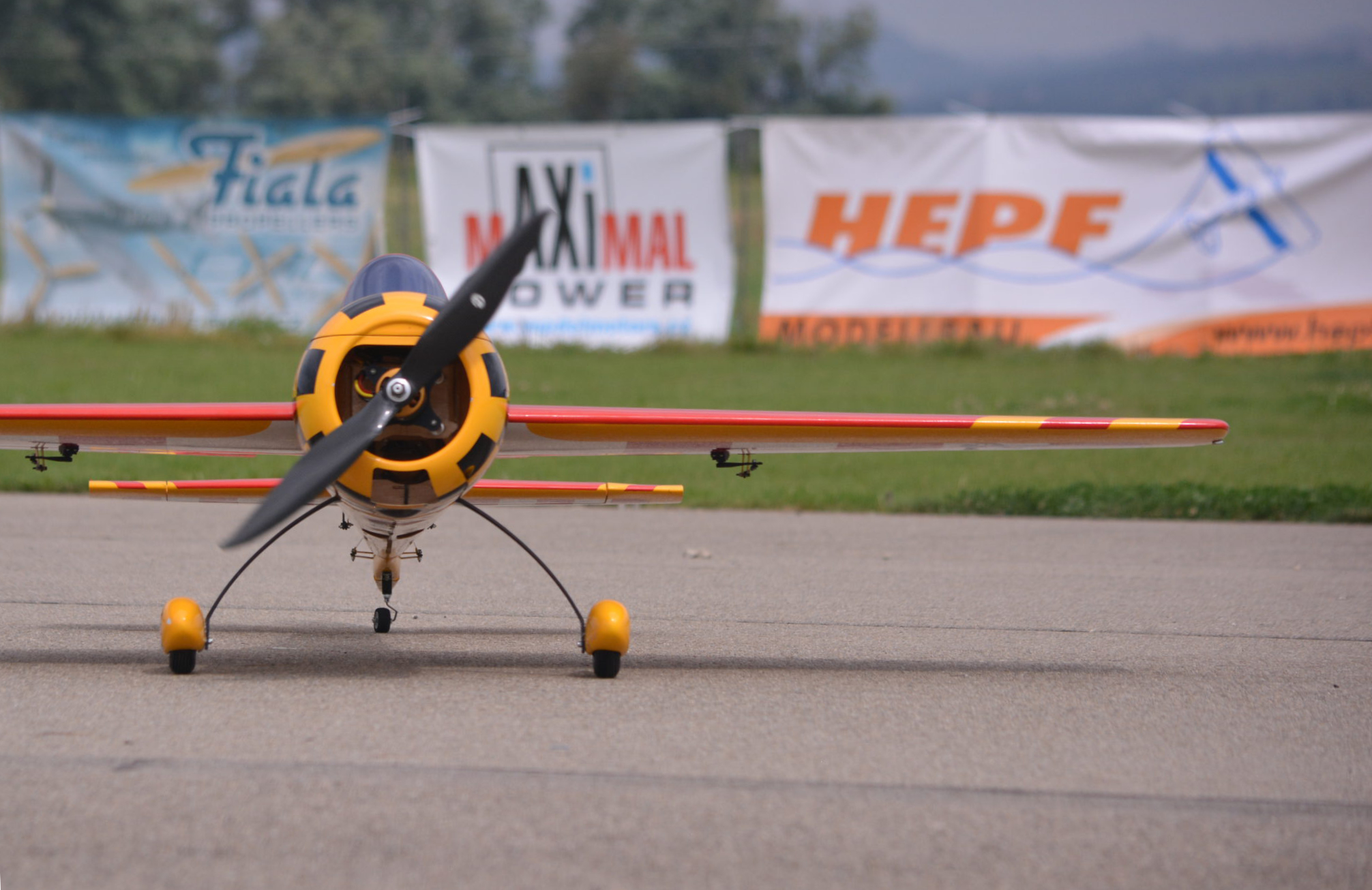 Die YAK55m von GB-Models - HEPF Modellbau